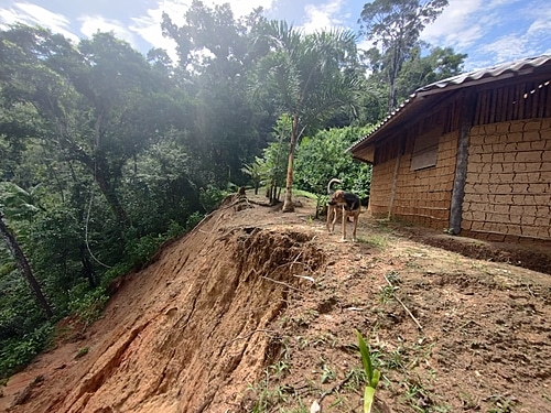 Indígenas do litoral de SP relatam devastação da chuva e pedem Indígenas do litoral de SP relatam devastação da chuva e pedem